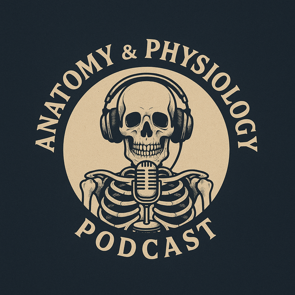 AI-Generated Podcasts: A New Tool for A&P Students - Human Anatomy and ...
